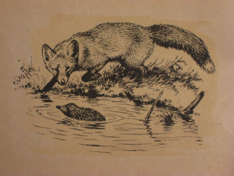 The hedgehog market – Argonaut Capital